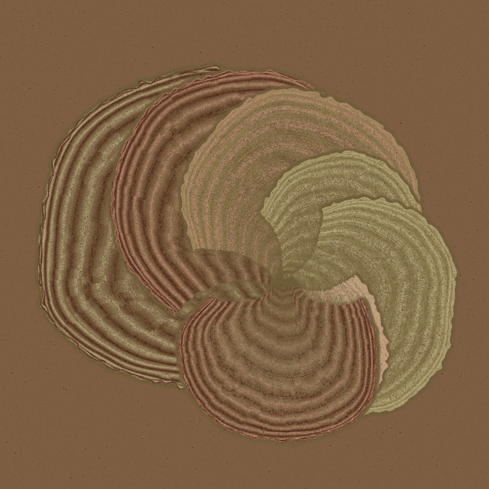 Gallery B — digital art managed by blockchain technology